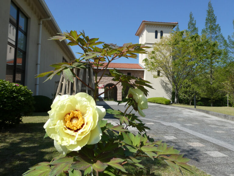 20240426_2 – 石正美術館